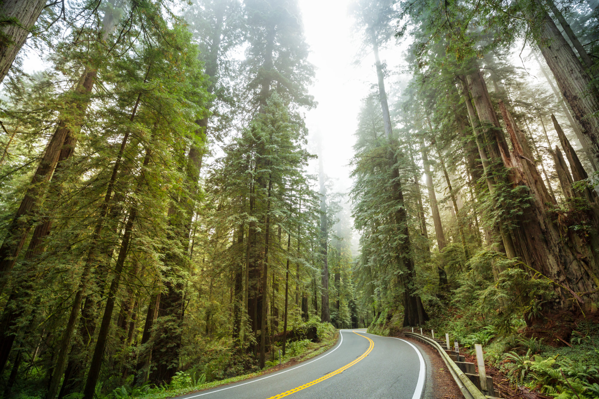 Find Your SBDC - Norcal SBDC