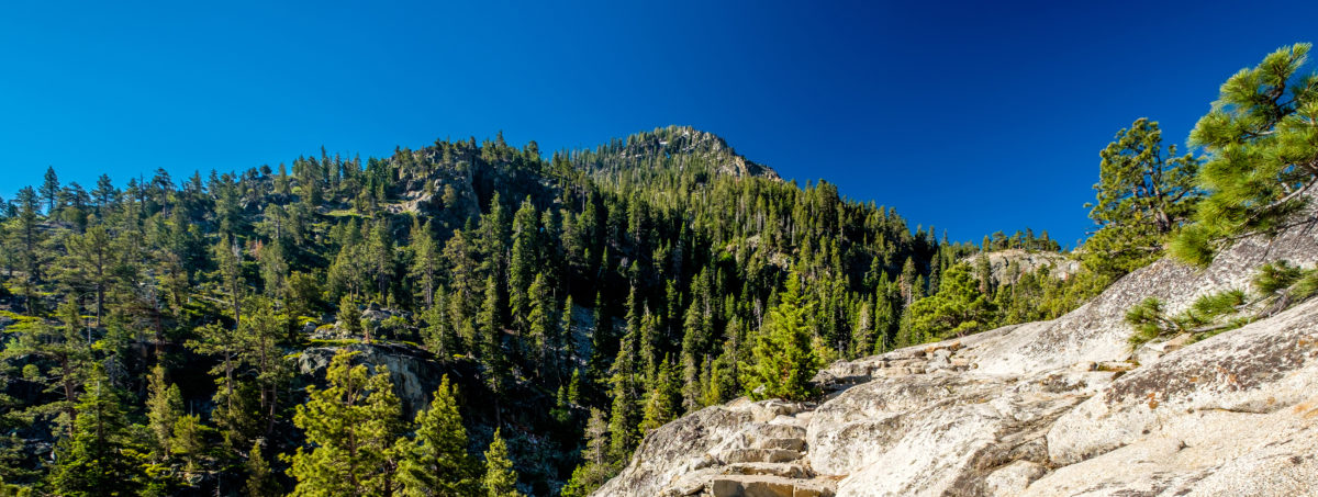 Find Your SBDC - Norcal SBDC